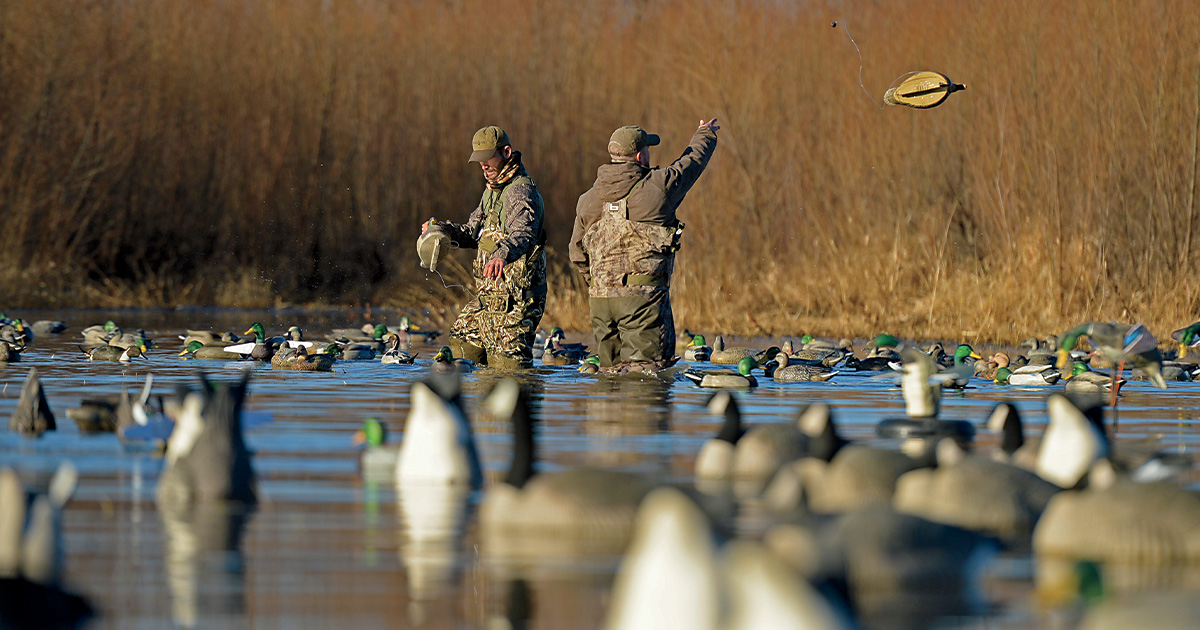 Decoy Rigging Tips: Lines & Anchors Guide